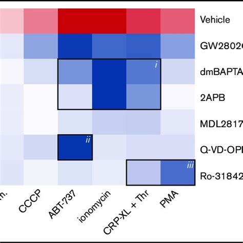 Analysis Of Signaling Pathways Implicated In Agonist Induced