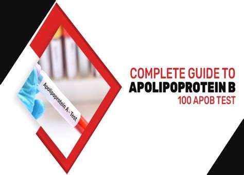 Complete Guide To Apolipoprotein B 100 Apob Test