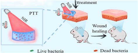 Architecting Polyelectrolyte Hydrogels With Cu Assisted Polydopamine Nanoparticles For