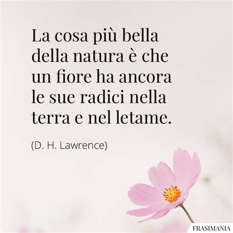 Frasi Sulla Natura In Inglese E Italiano