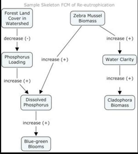 A Simplified Cognitive Map Download Scientific Diagram