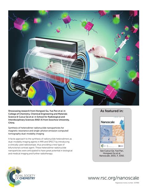 Pdf Synthesis Of Heterodimer Radionuclide Nanoparticles For Magnetic
