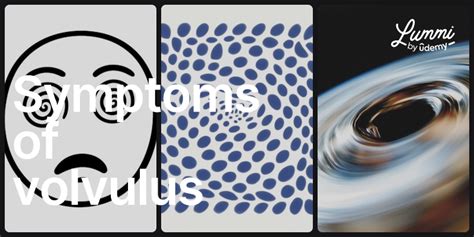 Symptoms Of Volvulus Images — Free Hd Download On Lummi