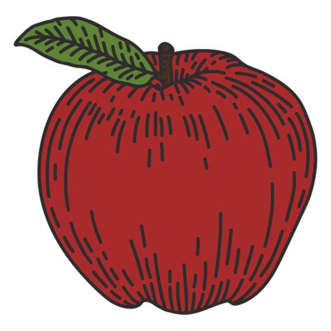 Apple Detailed Color Stroke Png And Svg Design For T Shirts