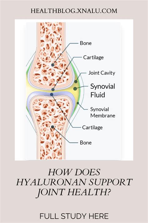 Unlock The Secrets To Optimal Joint Health Health Journey Artofit