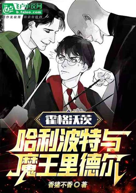 霍格沃茨：哈利波特与魔王里德尔香猪不香小说全本小说下载飞卢小说网