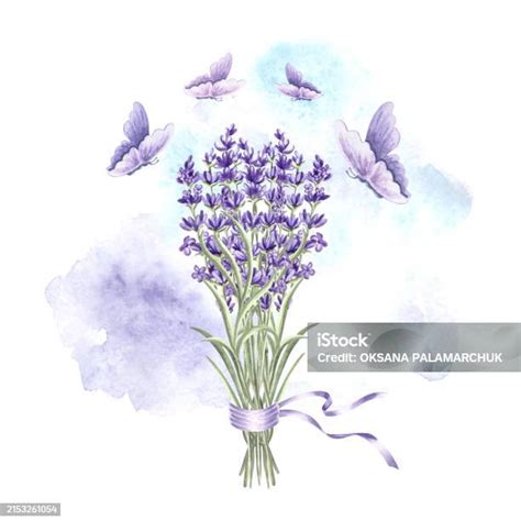 라벤더와 나비 프로방스 꽃 꽃다발 보라색 리본 수채화 그림 봄 꽃입니다 고립 된 손으로 그린 초본 카드 포장 식기 섬유 자수를 위한 템플렛 곤충에 대한 스톡 벡터 아트 및