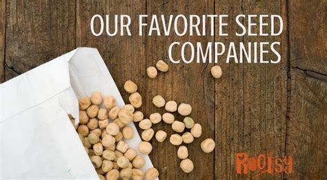Our Favorite Seed Companies For Non Gmo Seeds Rootsy Network