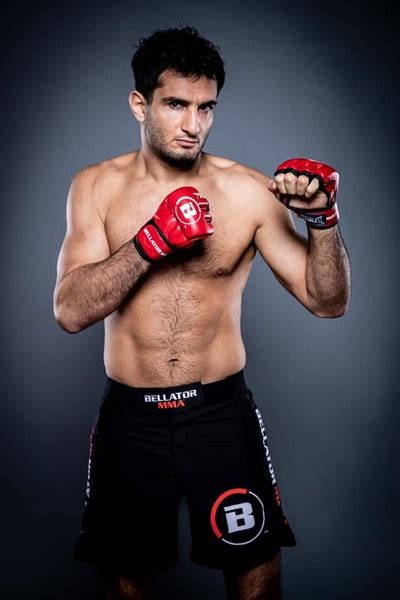 Netherlands Gegard Mousasi Is Bellator Middleweight Champion Again