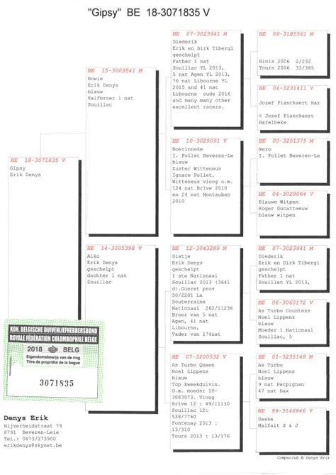 099 B18 3071835 Gipsy ♀ De Duif