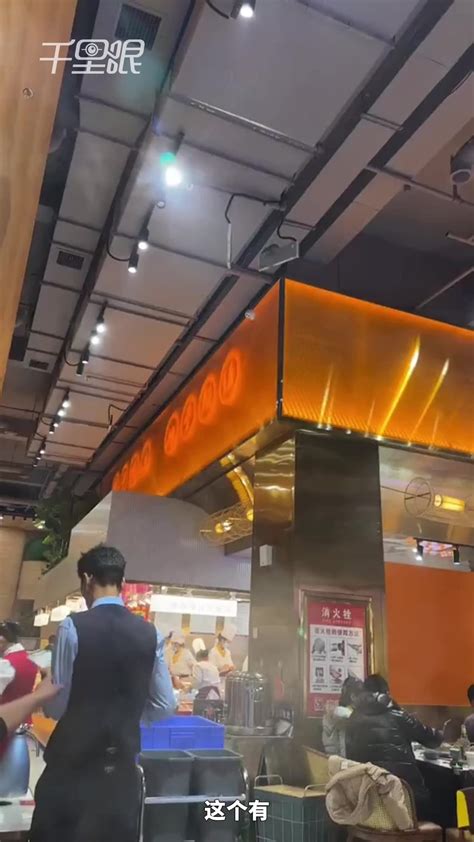 【青海】商家回应女子在火锅店就餐时一只老鼠在头顶上摇摇欲坠：顺着电线跑来的，每周有消杀但无法根除