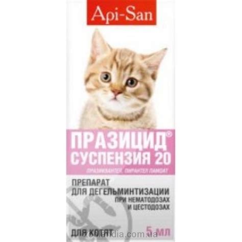 Api-San (Апи Сан) Празицид суспензия для котят от глистов купить ...