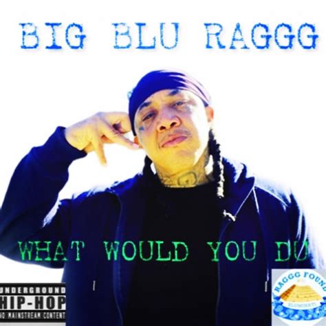 WHAT WOULD YOU DU Single By BIG BLU RAGGG Spotify