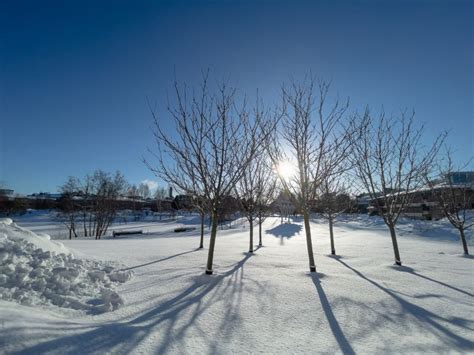 Department Of Mathematics And Mathematical Statistics On Linkedin