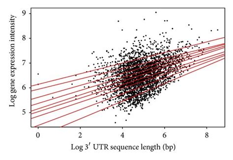 Quantile Regression Plot For Drosophila Melanogaster With Quantiles