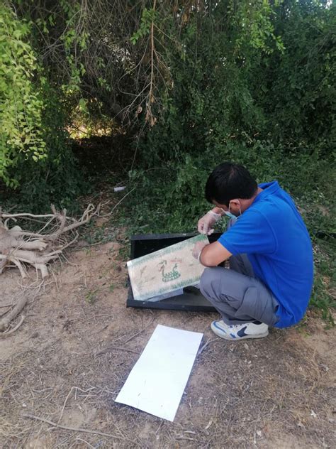 Suresh Daravath Posted On Linkedin