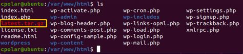 Linux系统搭建wordpress网站并结合内网穿透一键上线网站详细教程linux内网穿透 Csdn博客