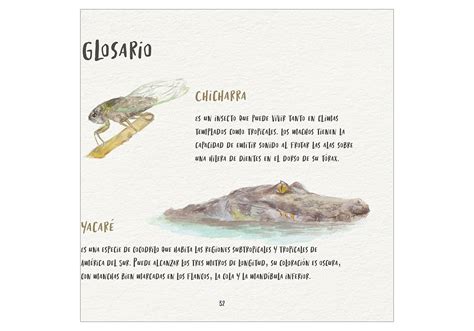 La Otra Orilla Recrea Libros