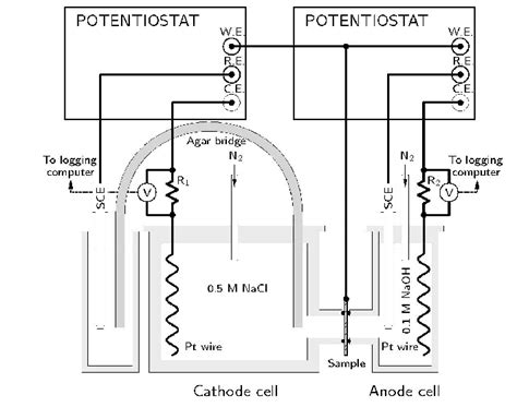 Schematic View Of The Permeation Cell Download Scientific Diagram