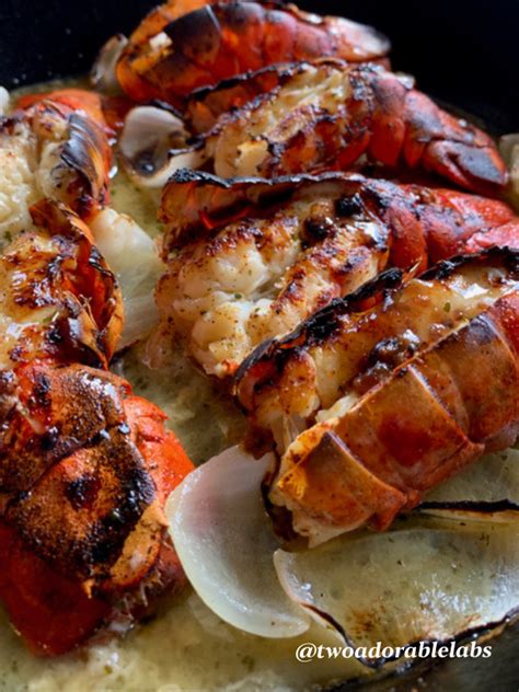Broiled Lobster Two Adorable Labs