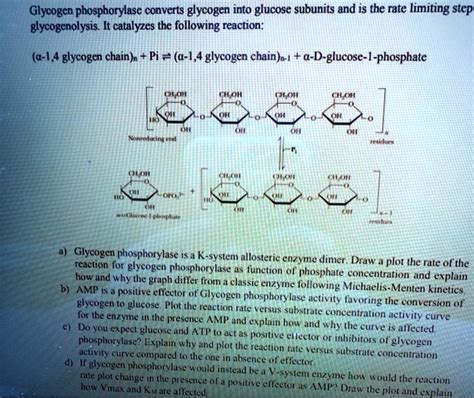 Solved Glycogen Phosphorylase Converts Glycogen Into Glucose Subunits