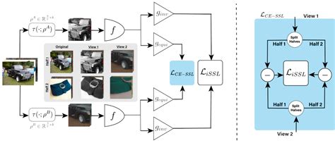Contrastive Equivariant Self Supervised Learning Improves Alignment With Primate Visual Area It
