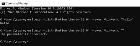 Passing Empty Parameter To Wsl Exec Fails With The Parameter Is Incorrect Issue
