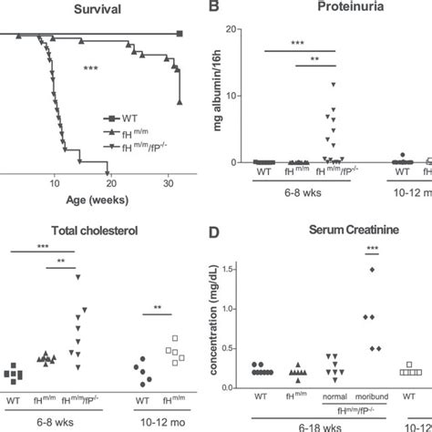 Properdin Deficiency Did Not Prevent Plasma Ap Complement Activation In