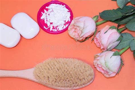 Brush For Dry Massage New Cosmetology Getting Rid Of Cellulite And