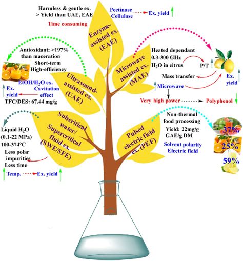 Diagrammatic Sketch Summarizing The Advantages And Limitations Of