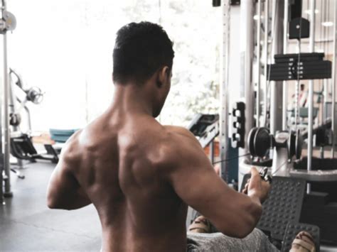 Mastering The Seated Cable Row A Comprehensive Guide Yr Fitness