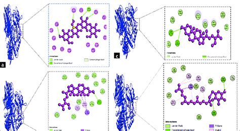 Molecular Interaction Between The Three Selected Hits The Standard At
