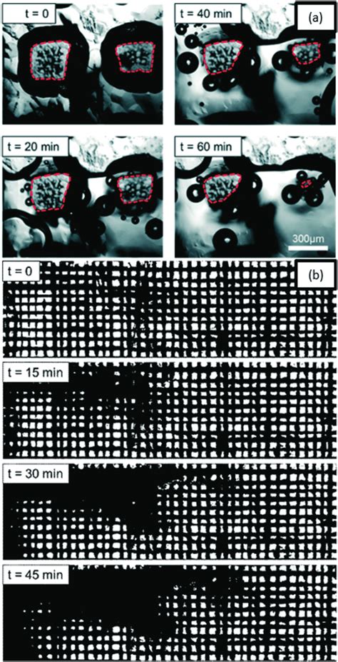 A Preferential Calcite Dissolution Through Specific Isotropic Edges