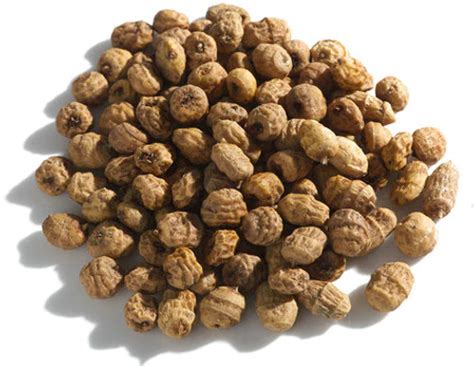 Tiger Nuts Carp Bait 5 Flat Rate Shipping Carp Angler