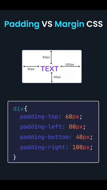 Padding Vs Margin In Cssprogramming Javascript Html Learn Coding