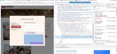 pro form is not shown on popup bug reports bricksforge community forum