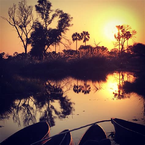 508 Best Botswana Images On Pholder Pics Animal Porn And