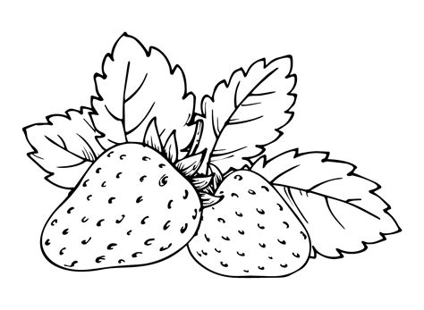 Printable Strawberry Coloring Pages
