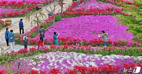 관광객 시선 사로잡는 옥정호