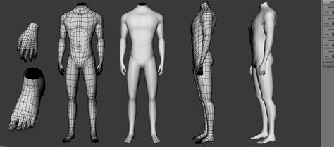 Beginner To Character Modeling — Polycount