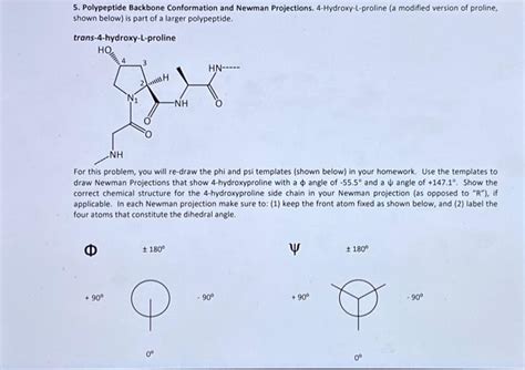 Solved 5 Polypeptide Backbone Conformation And Newman
