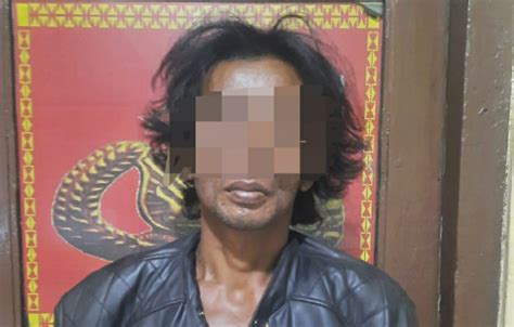 Tersangka Pencabulan Dan Pembunuhan ABG Di OKU Selatan Tertangkap Di Pesbar