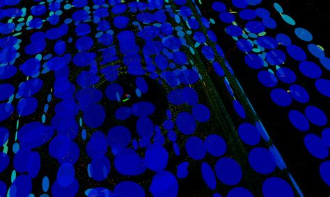 No Moving In My Dataset But Work Normal In Other Lioandlo Algorithms