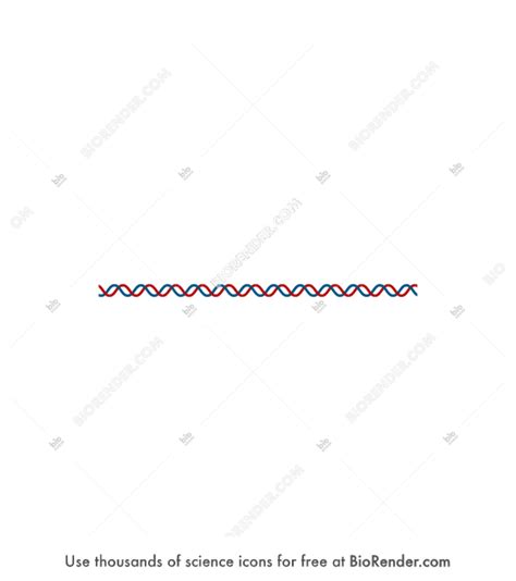 Free Dna 2d Long Icons Symbols And Images Biorender