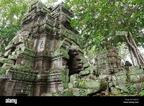 Temple Dans La Jungle Banque De Photographies Et Dimages à Haute
