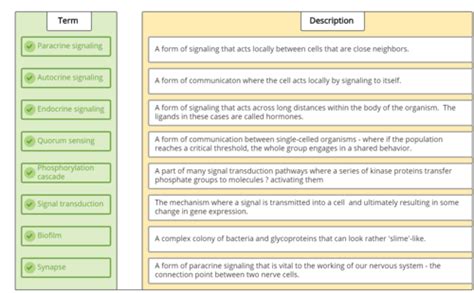 Bio 181 Exam 1 Flashcards Quizlet