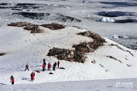 南极登陆：美丽纳克港遭遇冰崖雪崩 南雪特兰群岛游记攻略【同程旅游攻略】