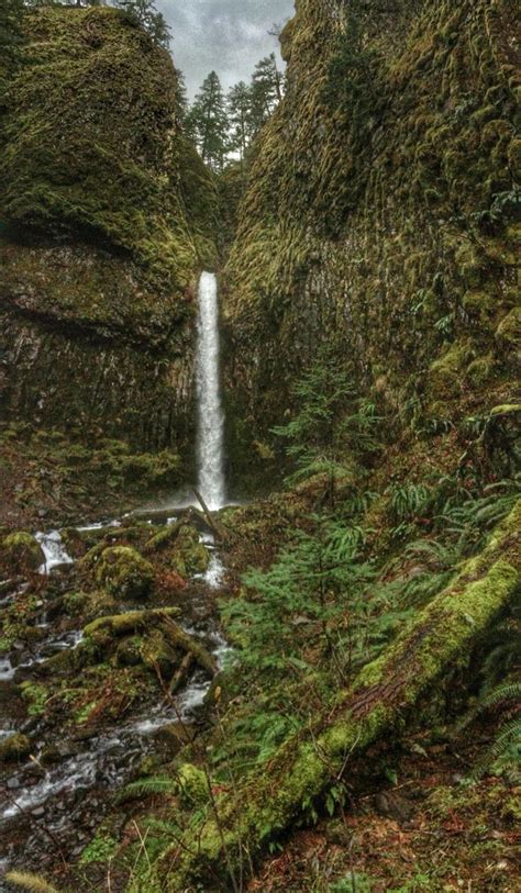 Dry Creek Falls Columbia River Gorge Oregon Photo By Kellette Elliott