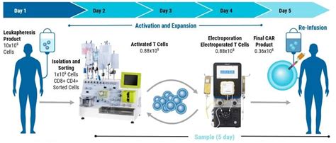 Collaborate With Maxcyte Maxcyte