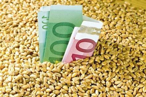 Мировые цены на зерно достигли рекордного показателя АГРАРИЙ